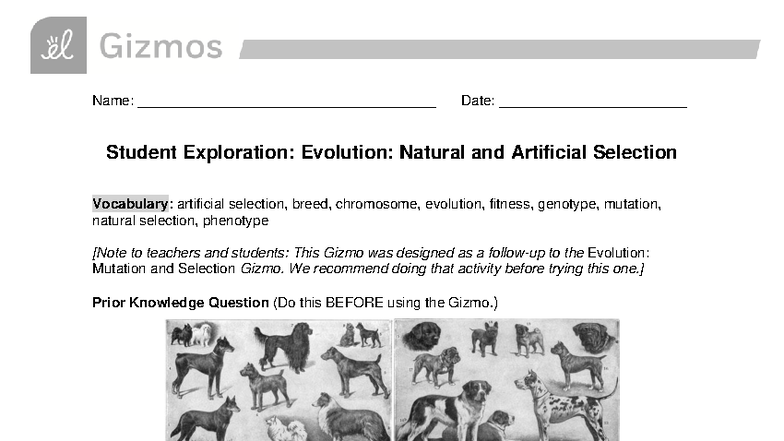 Evolution: Natural and Artificial Selection SE - Student Exploration ...