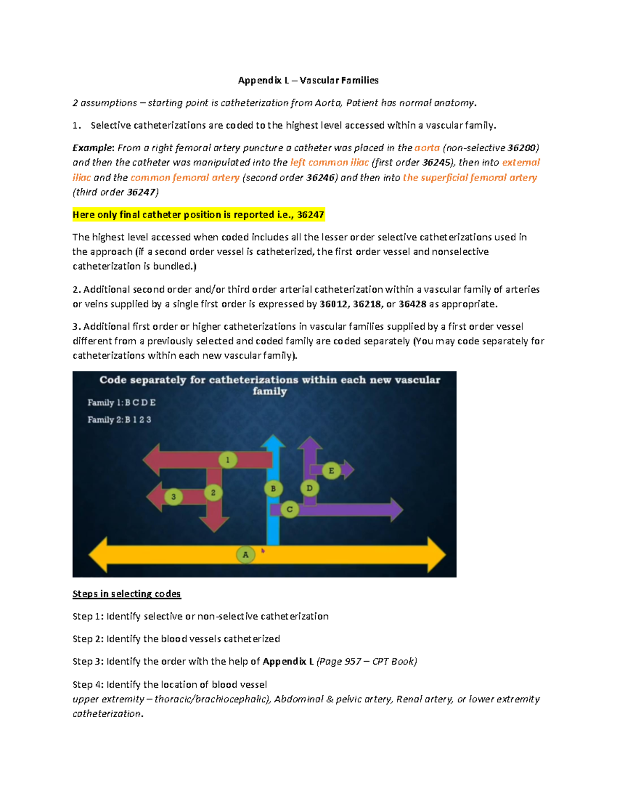 Vascular Families Coding Guide - Appendix L Overview - Studocu
