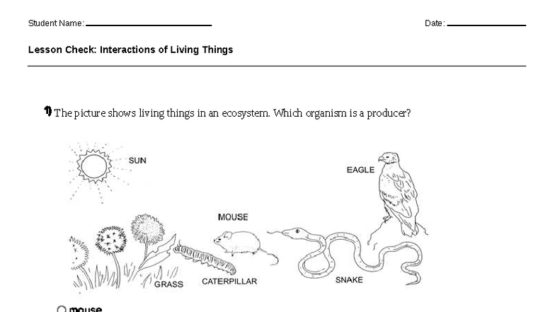 Lesson Check: Interactions of Living Things - Ecosystem Dynamics - Studocu