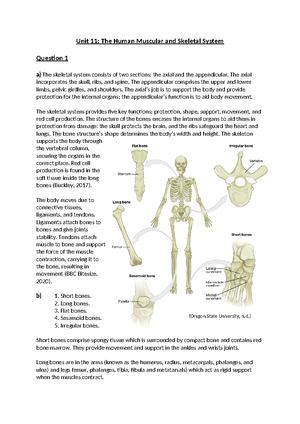 Unit 14 - The Human Muscular and Skeletal Systems - Question 1 ...