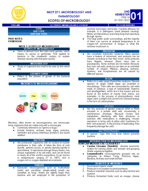 Bacterial morphology and cell structure - BACTERIA: Discuss Bacterial Morphology and Cell ...