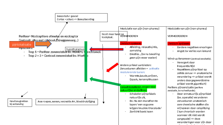 Melzack Wall Schema: Pijnmodulatie en Sensatie Mechanismen - Studocu