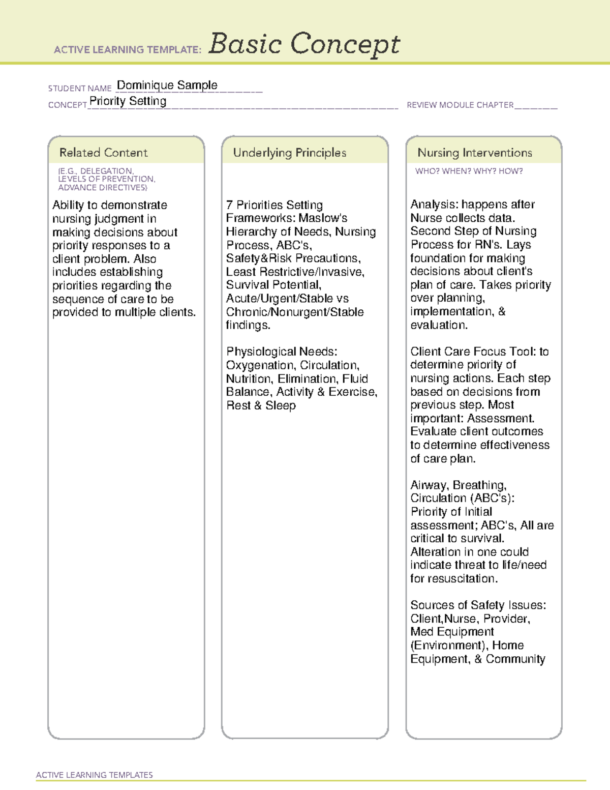 Nursing 101: Active Learning Template on Priority Setting Concepts ...
