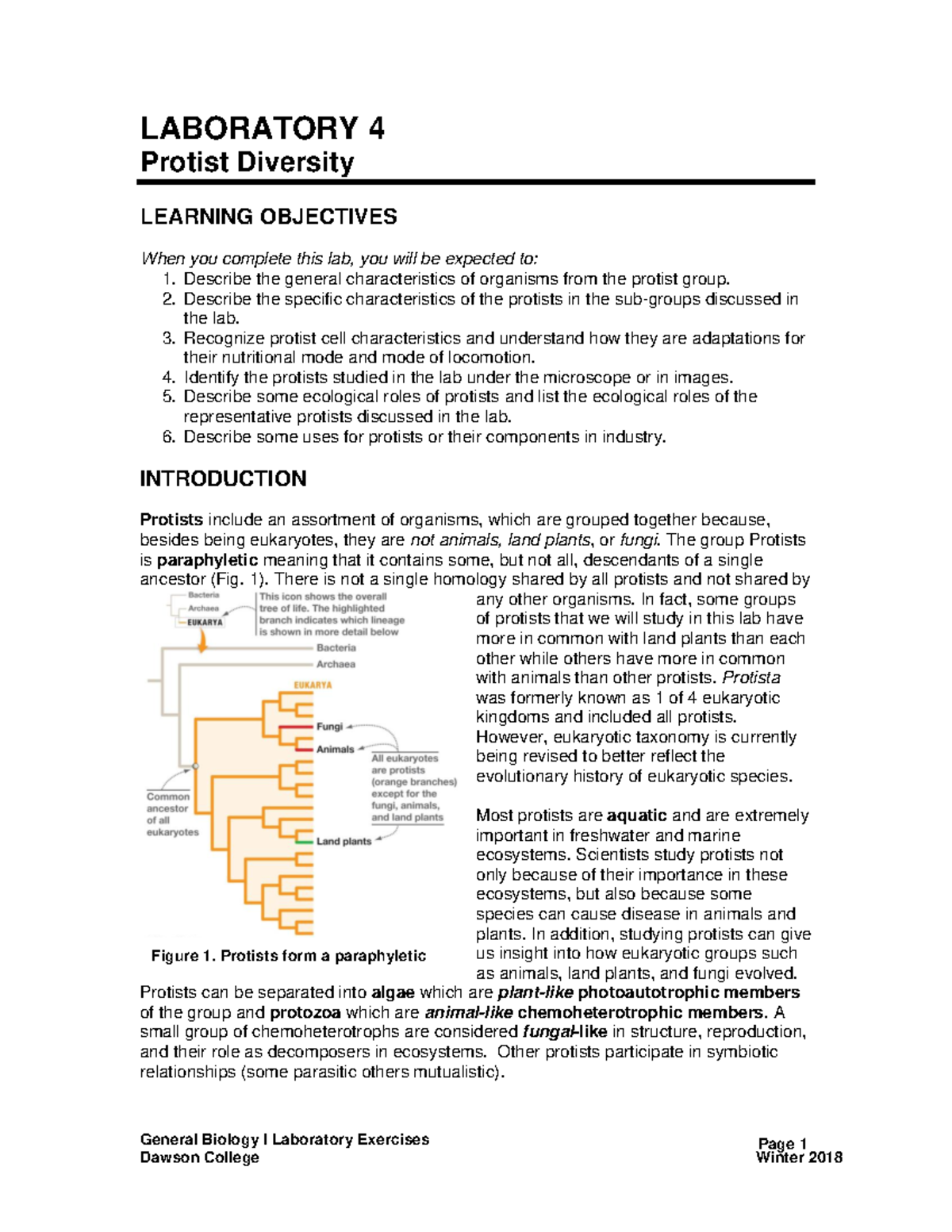 LAB 4 - Protist Diversity in General Biology I - Studocu