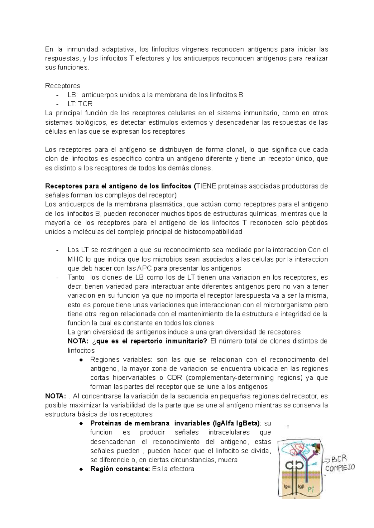 Resumen del Reconocimiento Antigénico por Linfocitos T y B (Inmunología ...