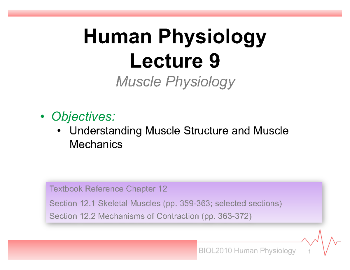 BIOL2010 Human Physiology Lecture 9: Muscle Structure & Mechanics - Studocu