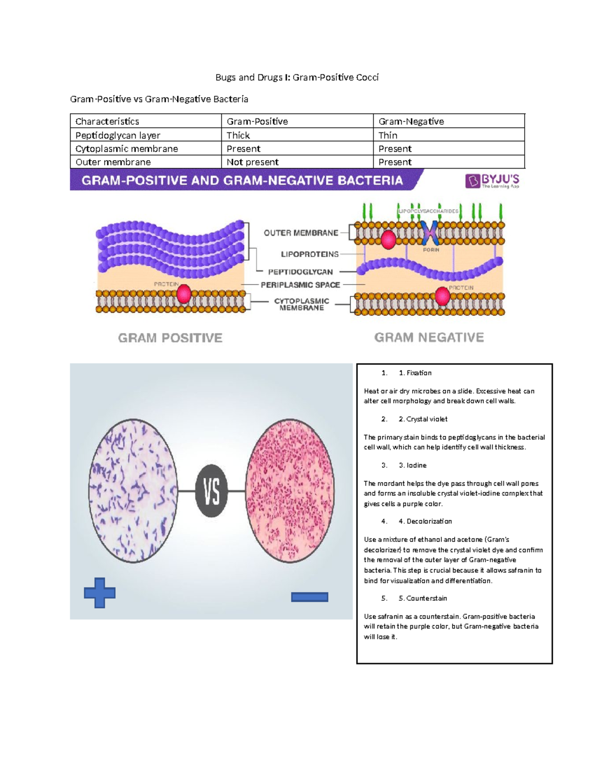 Bugs and Drugs I: Identification and Treatment of Gram-Positive Cocci ...