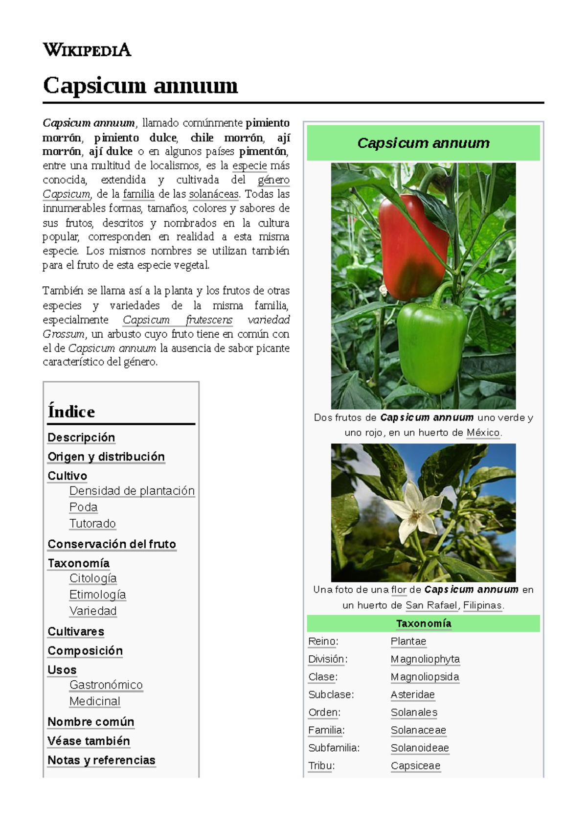 Capsicum annuum - breve info - Capsicum annuum Dos frutos de Capsicum ...