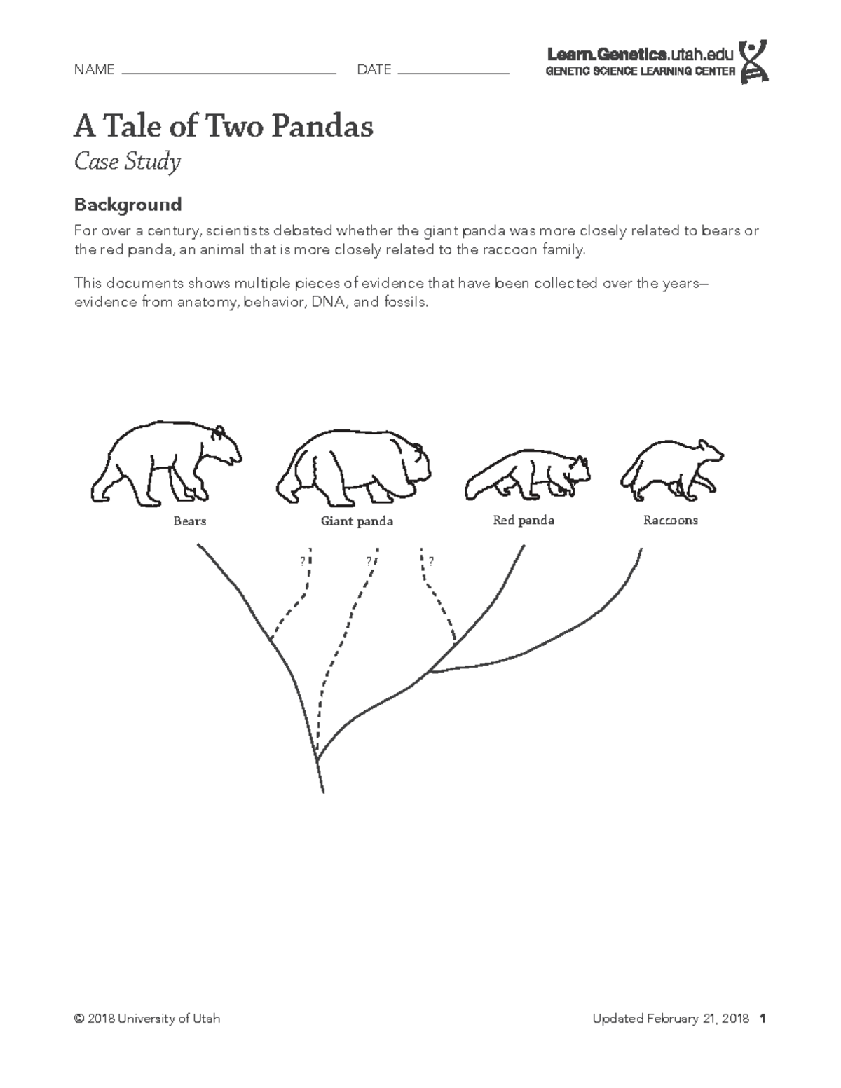 A Tale of Two Pandas: A Case Study on Evolutionary Relationships - Studocu