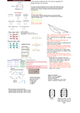 Mathematics - Grade: 12 - Western Australian Certificate of Education ...