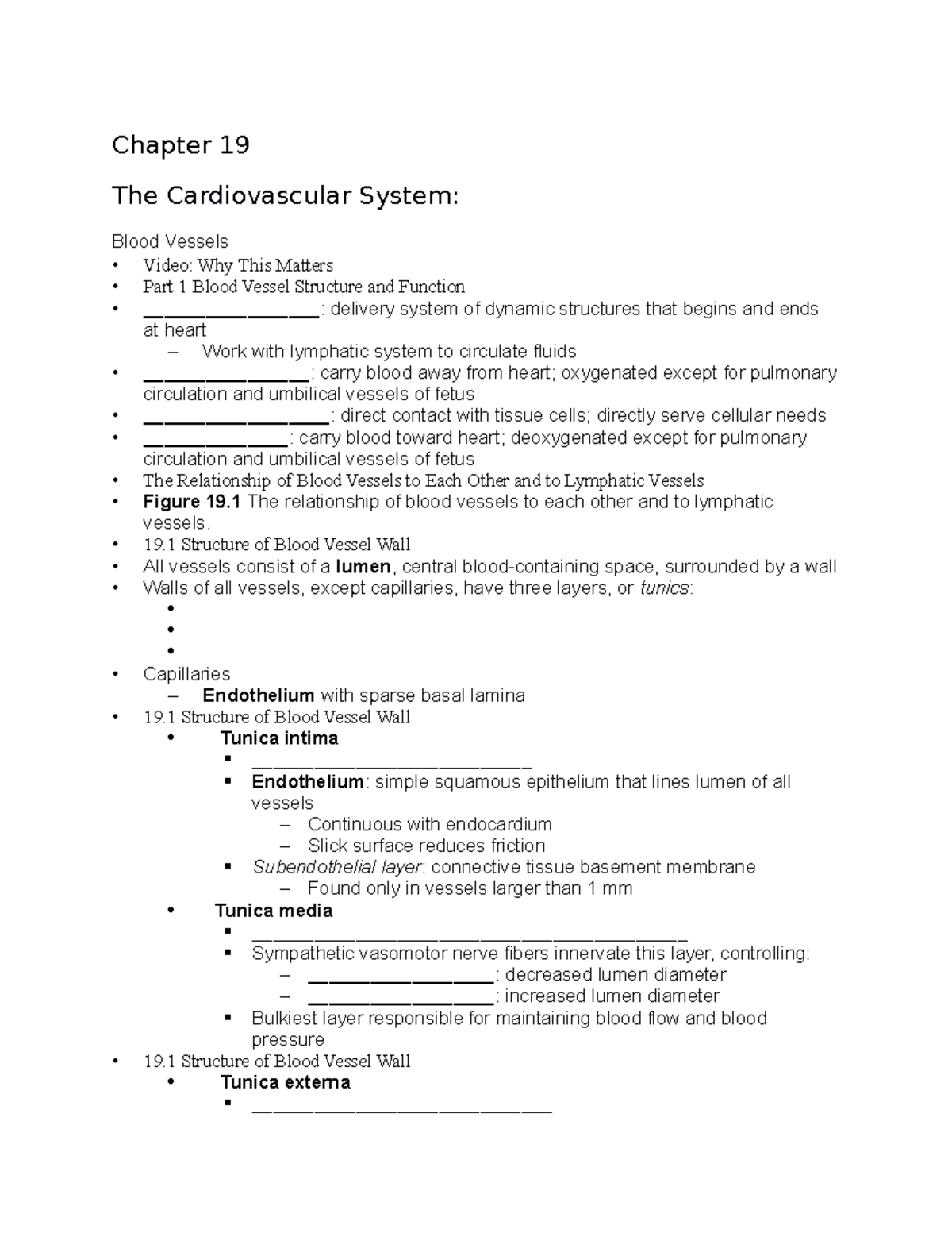 Chapter 19 Outline revised - Chapter 19 The Cardiovascular System ...