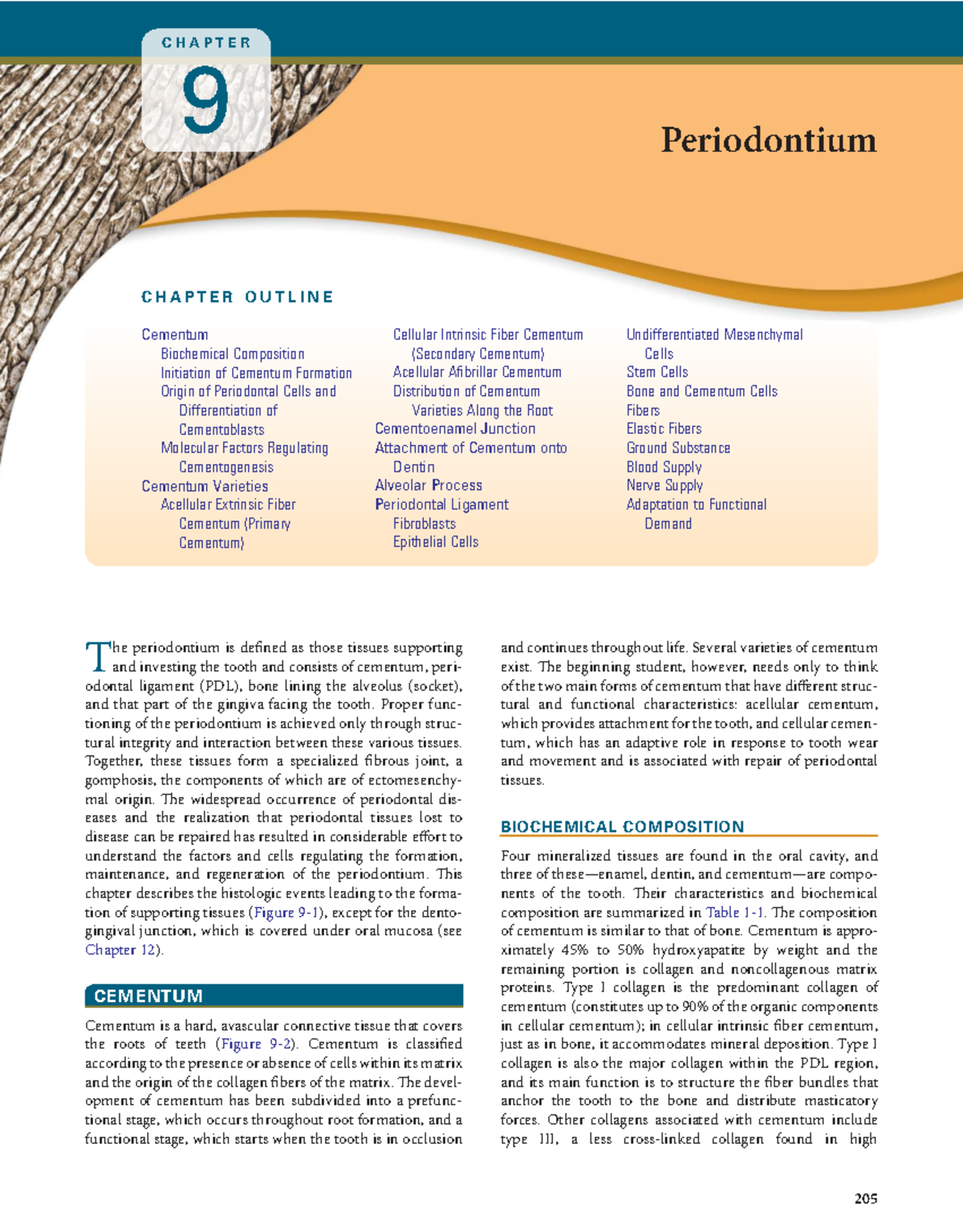 CHAPTER 9: Periodontium - Overview of Cementum and Its Functions - Studocu