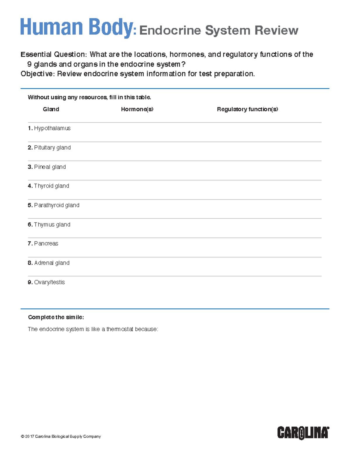 Endocrine-review - endocrine system review - Human Body: Endocrine ...