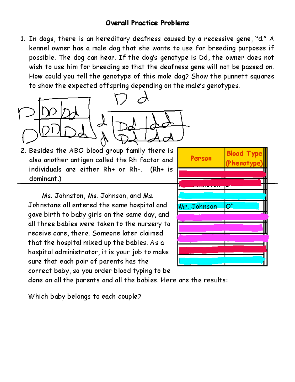 Biomolecule WS: Genetic Inheritance Practice Problems Guide - Studocu