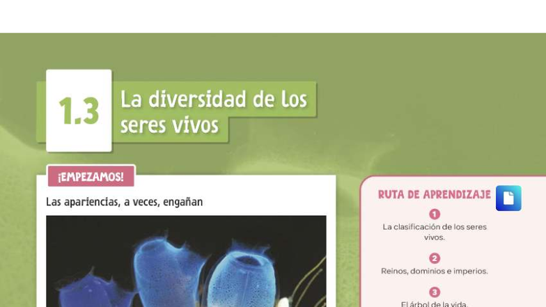 T3-Diversidad: Clasificación y Evolución de los Seres Vivos - Studocu