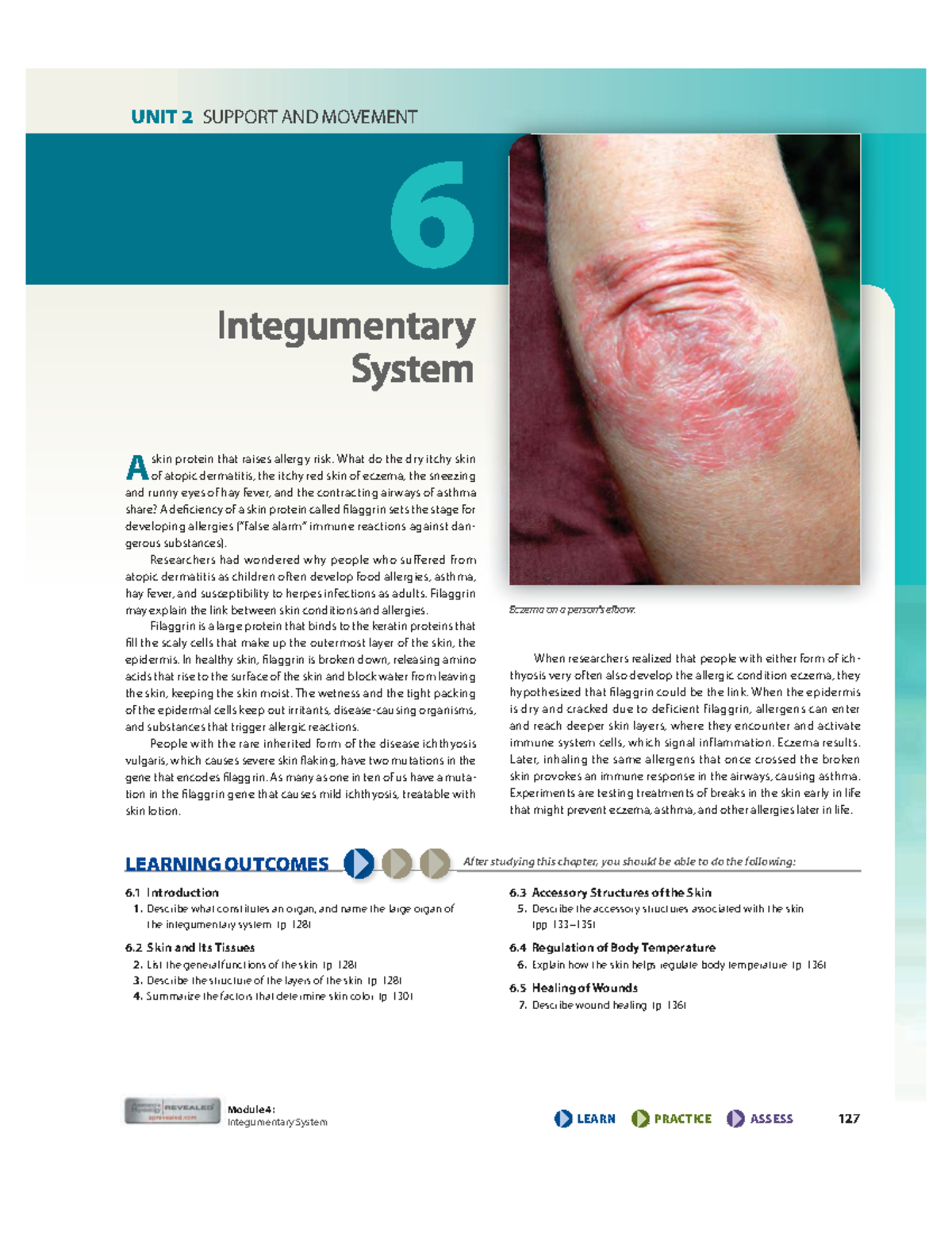 Integumentary System Insights: Healing, Functions, and Disorders ...