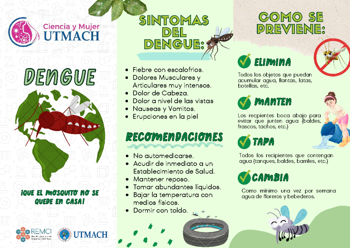 Triptico DEL Dengue - el mejor - RECOMENDACIONESRECOMENDACIONES ...