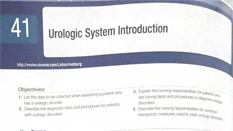 Chapter 41 - Urologic System Overview and Nursing Responsibilities (OB ...