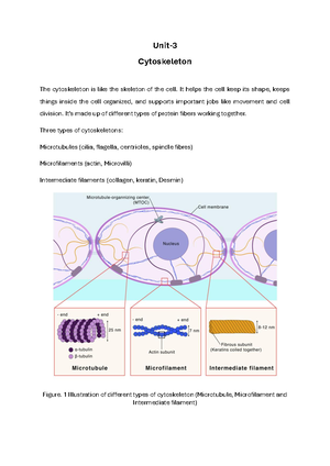 Cytoskeleton Structure and Functions: Insights from Cell Biology - The Cytoskeleton: Structure ...