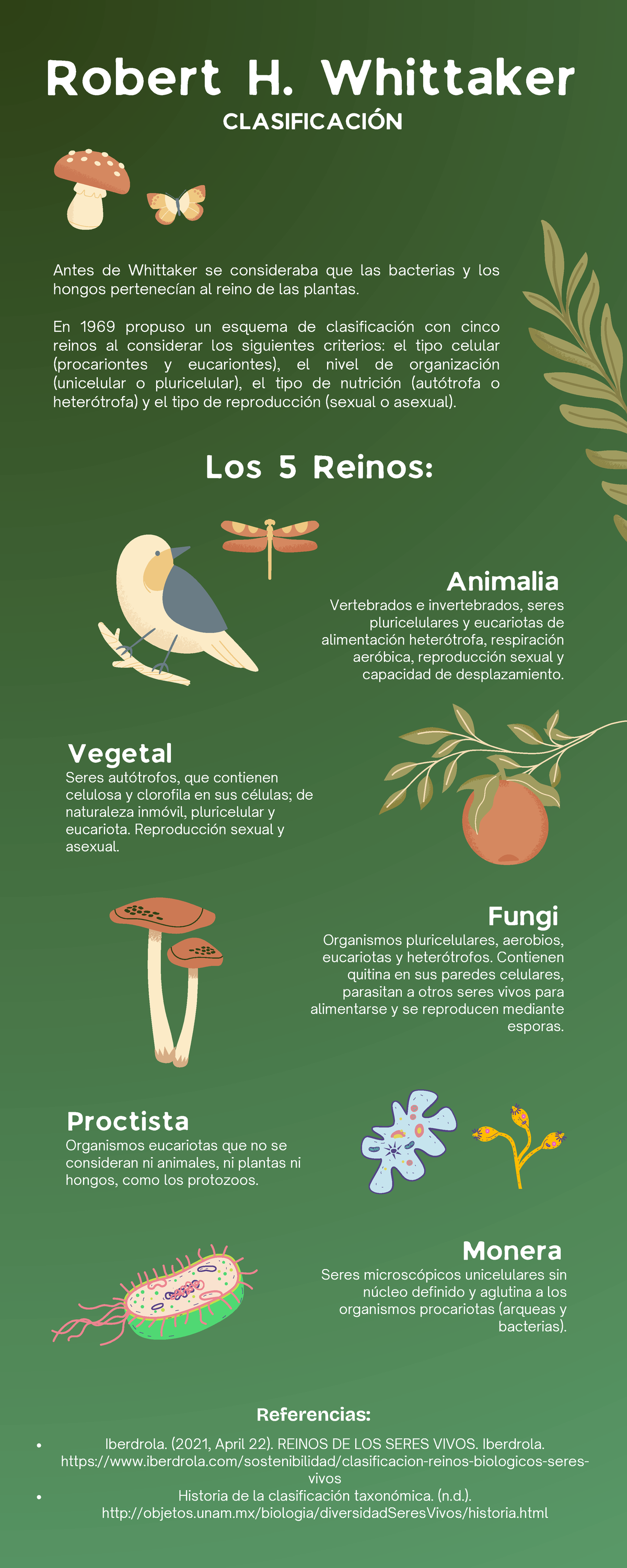 Los 5 Reinos De Los Seres Vivos Clasificacin Biolgica