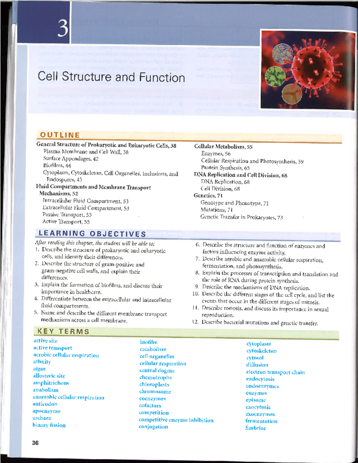 Cell Structure and Function: Prokaryotic and Eukaryotic Insights (BIO101) - Studocu
