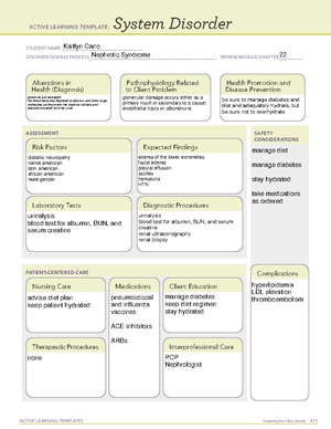 Health Promotion of Toddlers ATI - ACTIVE LEARNING TEMPLATES ...