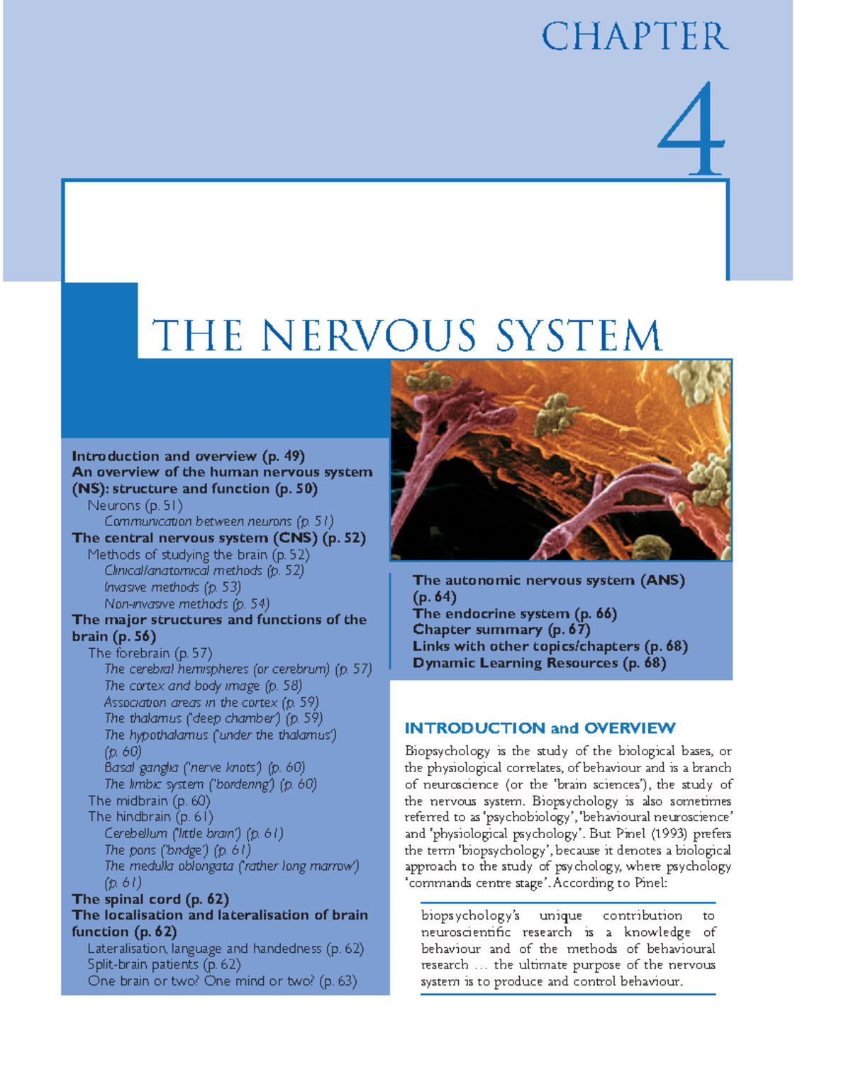 Nervous System Introduction Ppt