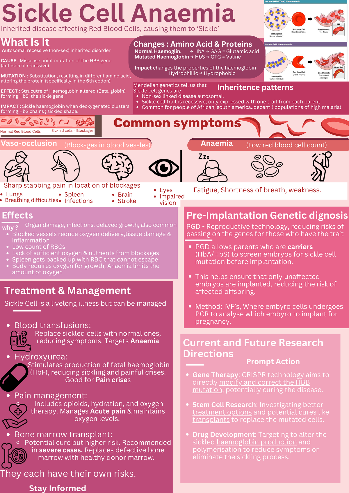 Sickle Cell Disease Overview: Genetics, Symptoms, and Treatments - Studocu
