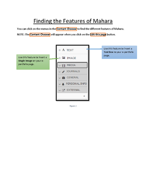 [Solved] How many command groups are on the insert tab - ICT (UU100 ...