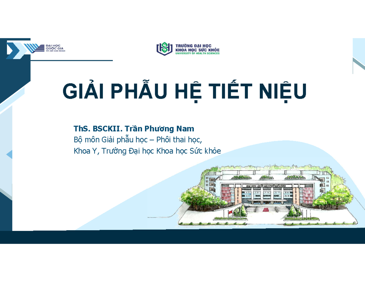 GIẢI PHẪU HỆ TIẾT NIỆU - Tài liệu tham khảo và chức năng hệ tiết niệu ...