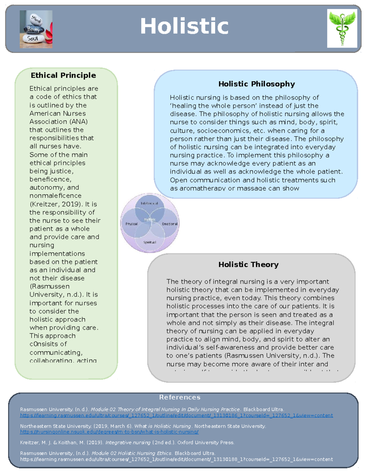 Integrative Nursing Written Assignment: Holistic Theory and Practice ...
