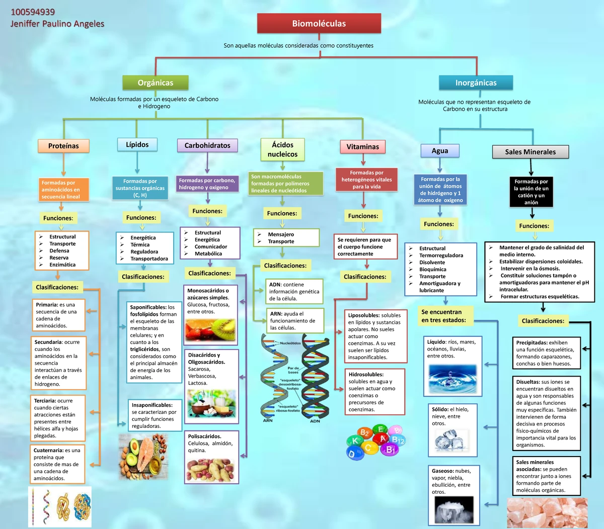 La Ciclosis en Células Vegetales: Mecanismos y Funciones - Studocu