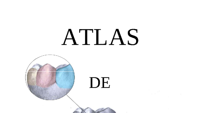 Atlas de Anatomia Dental de Dentes Permanentes - RADMILO SOARES FALCÃO ...