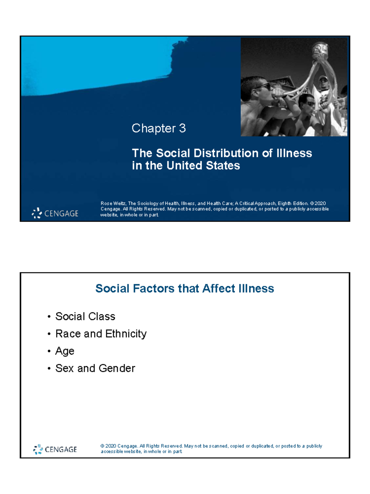 Sociology 101: Chapter 3 - Ethnic Disparities in Health - Studocu