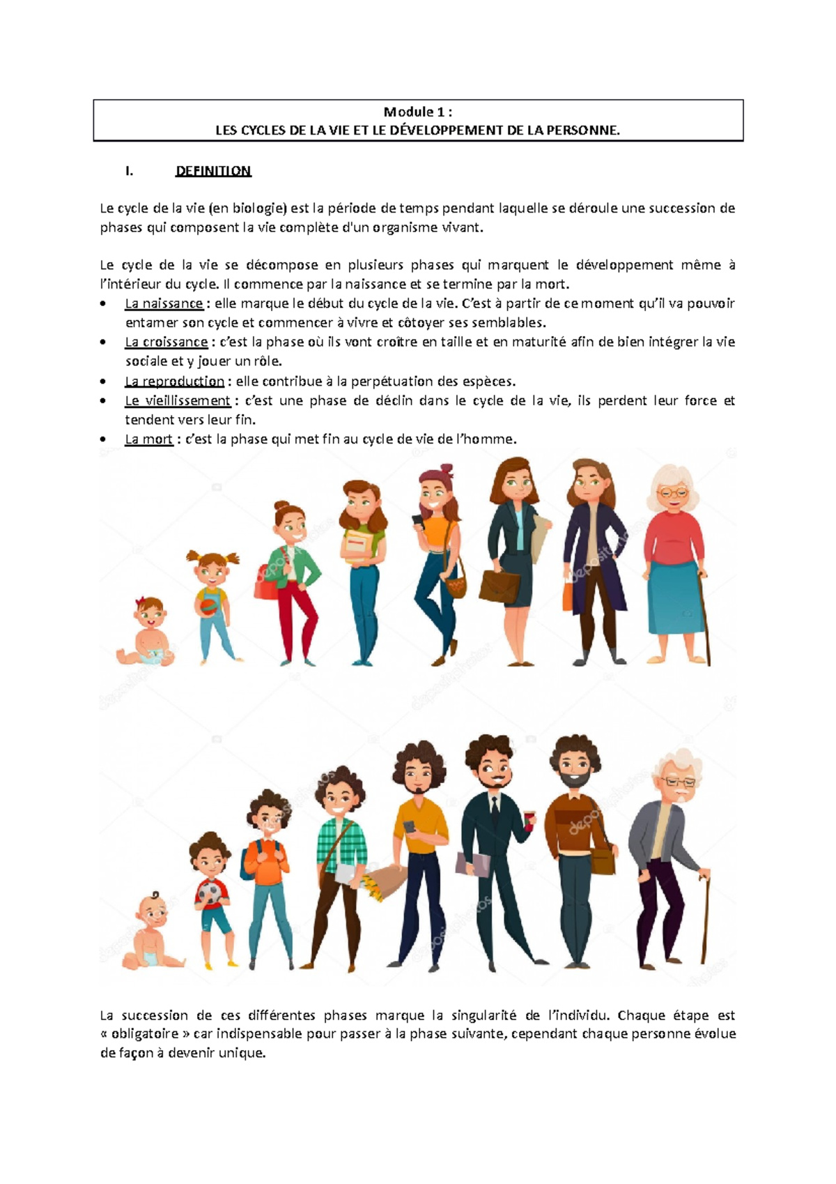 Les cycles de la vie : Développement et Phases (2019 Cours) - Studocu