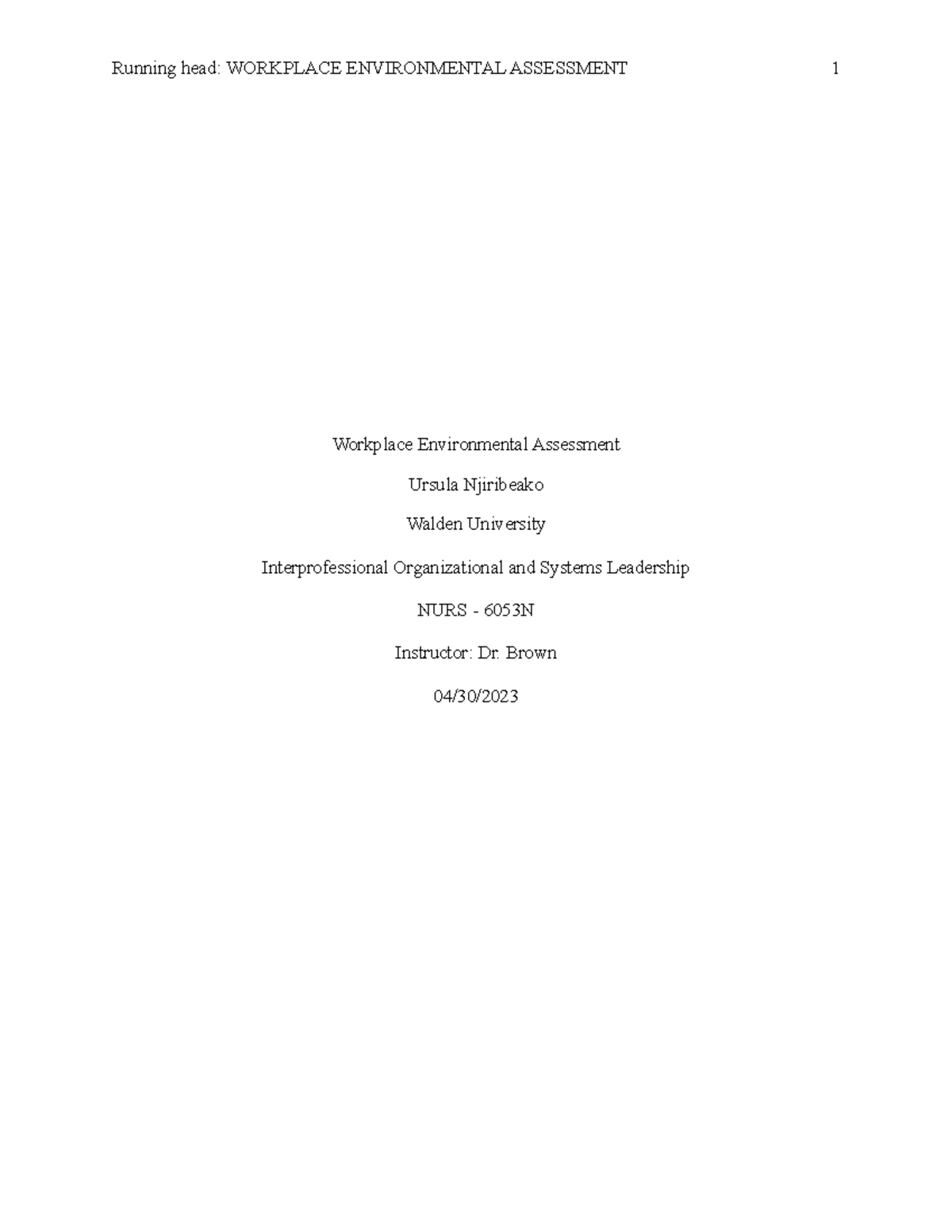 NURS - 6053N Workplace Environmental Assessment Findings and Insights ...