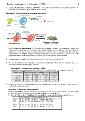 DF3-DE AES - Analyse et Planification d'un Projet d'Animation - DF3-DE ...