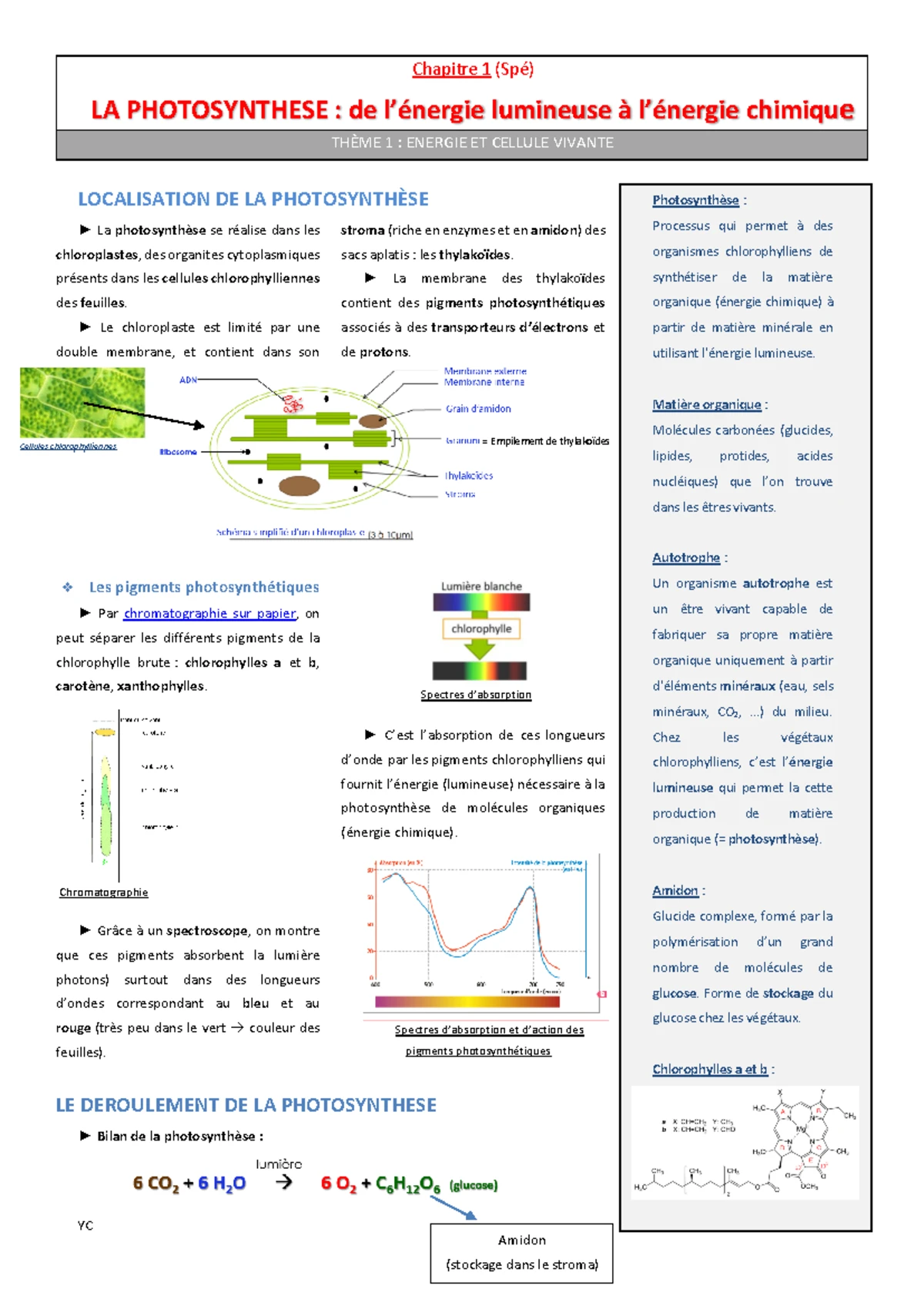 Cours de Géo : Les Métropoles et leurs Fonctions de Commandement - Studocu