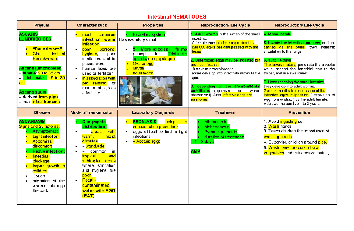 Nematodes WORM Table - Intestinal NEMATODES Phylum Characteristics ...