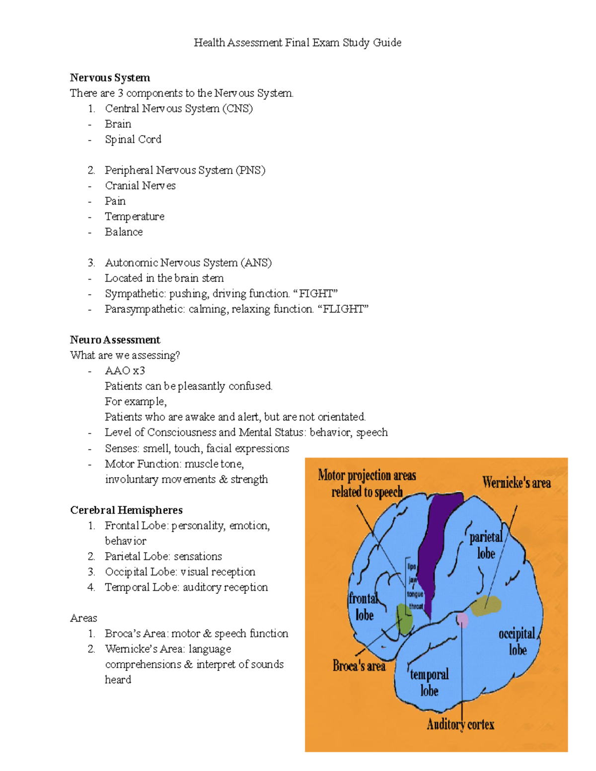 Health Assessment Final Exam Study Guide - Nervous System There are 3 ...