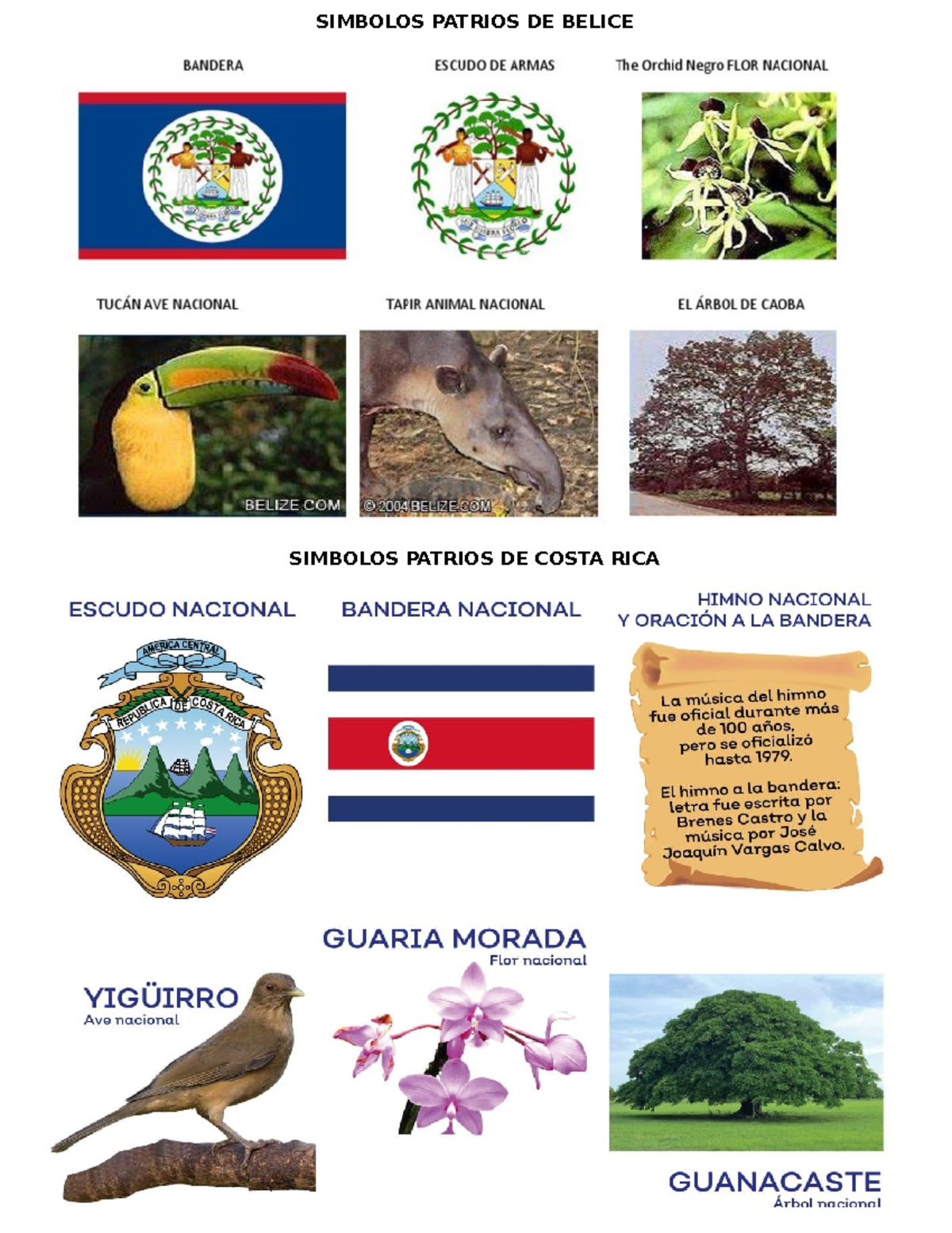 Símbolos Nacionales De América Bandera Del Símbolo Nacional De