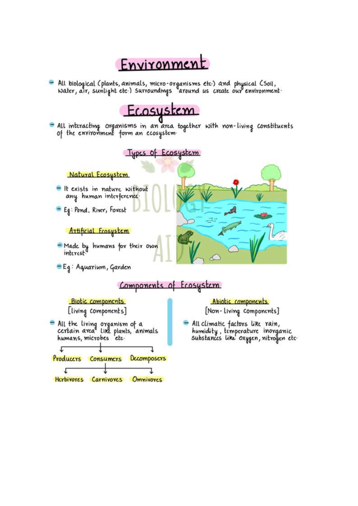 Class 10 Environment Notes: Ecosystems, Food Chains, and Ozone ...