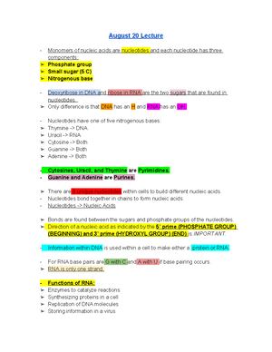 1108L Lab 2 Notes - BIOL 1108L Autotrophs in a Lake Ecosystem This ...
