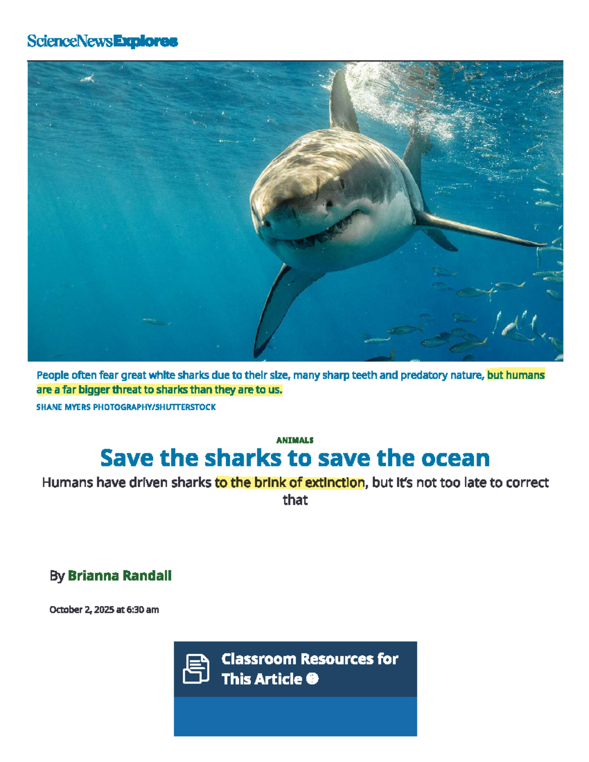SAVE Sharks TO SAVE Ocean: Understanding Their Vital Role - Studocu