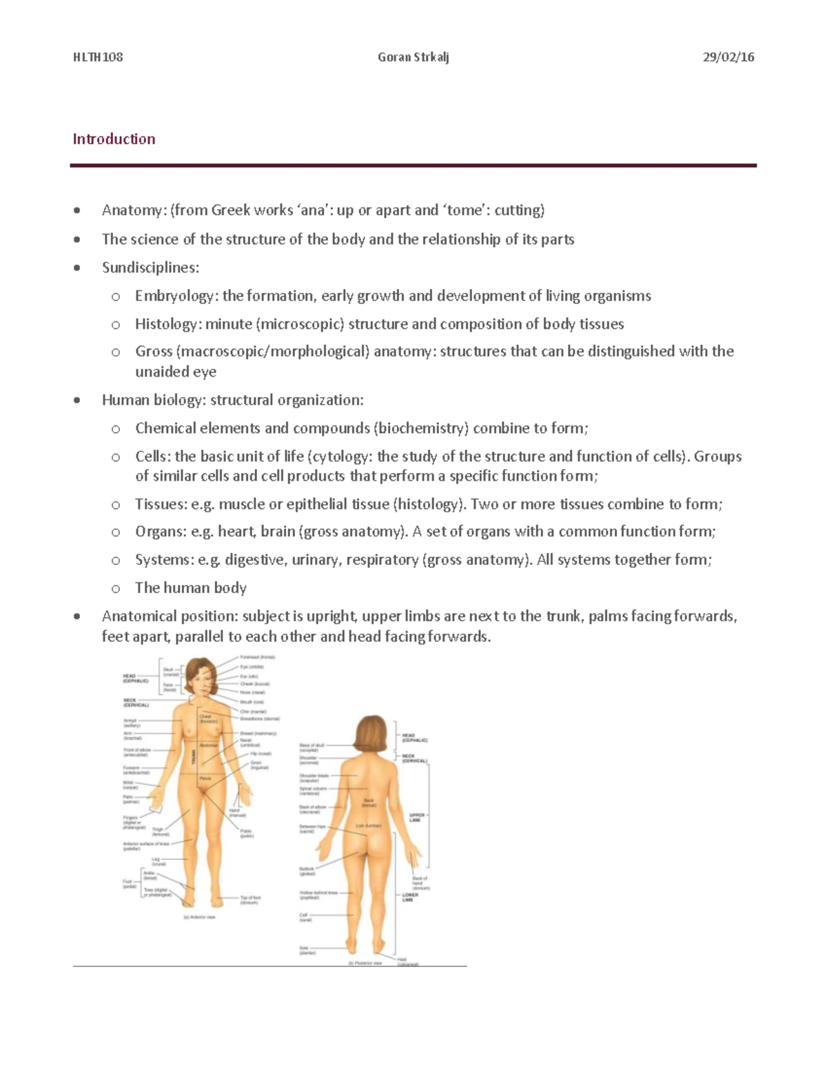 A&P 1 Exam 1 Study Guide - Subject of Anatomy and Physiology: Anatomy ...