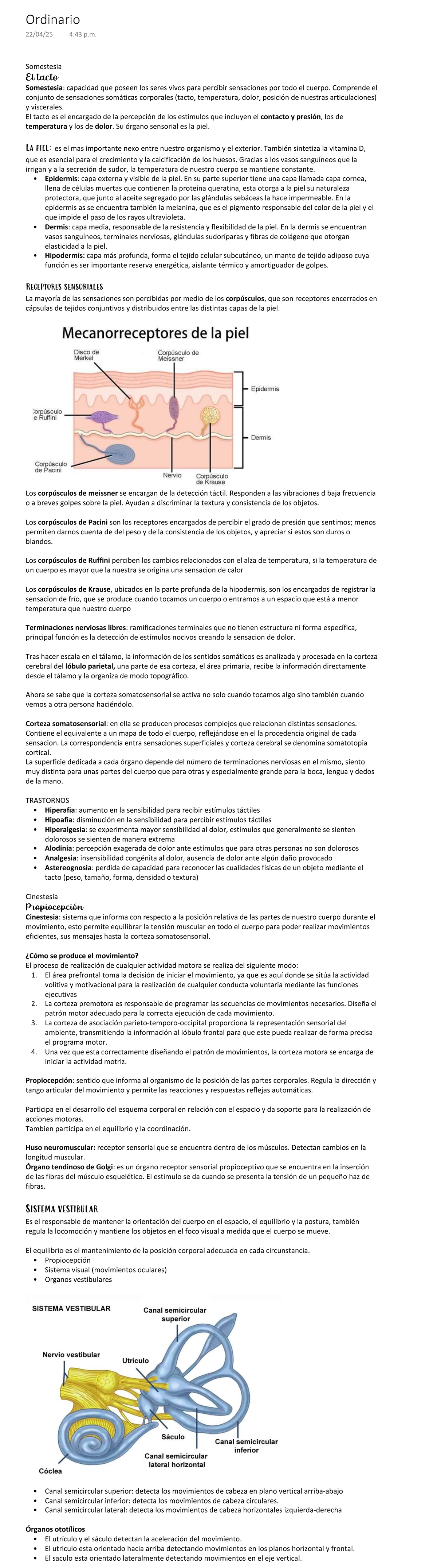 Somestesia y Cinestesia: Funciones y Receptores Sensitivos - Studocu