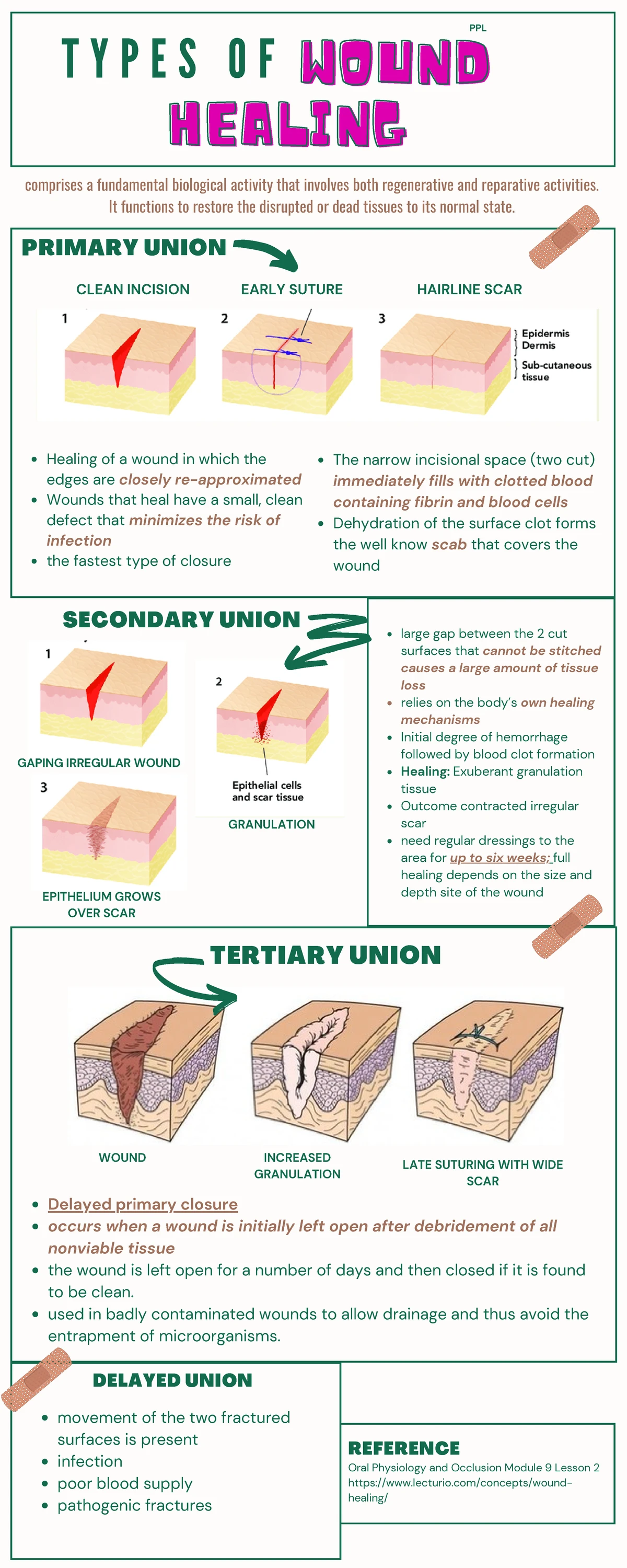 GEN CHEM Concept Map Overview and Key Definitions - Studocu