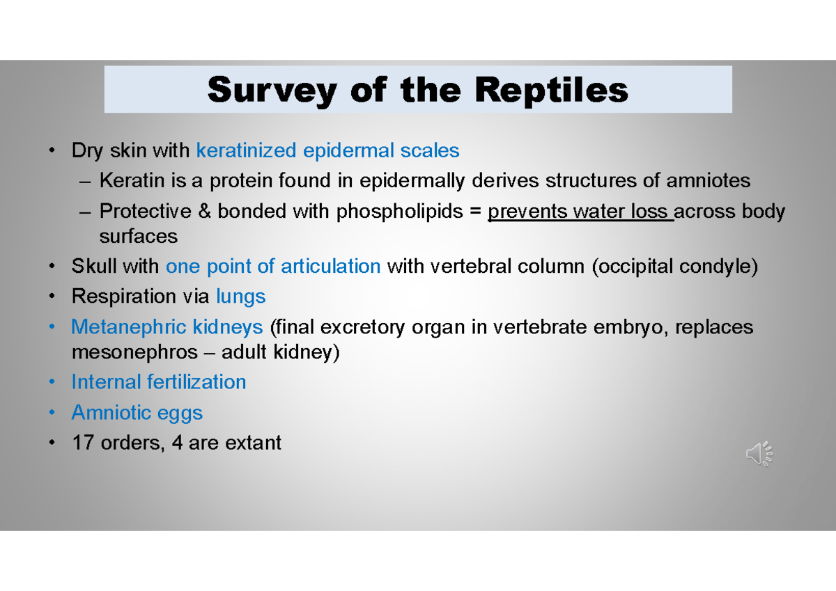 Survey of Reptiles (BIO 101): Classifications, Adaptations ...