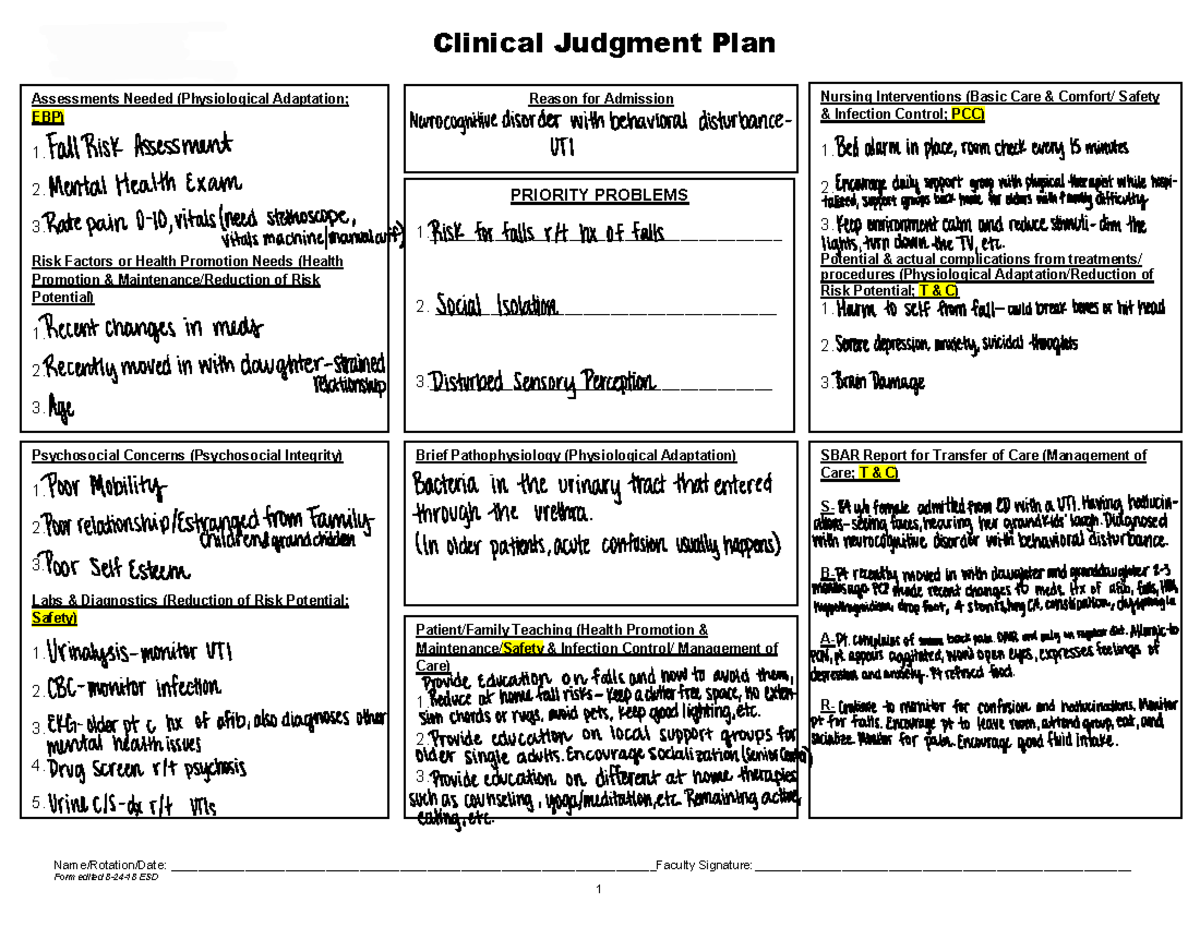 Nursing Clinical Judgment Plan: Admission and Care Strategies - Studocu