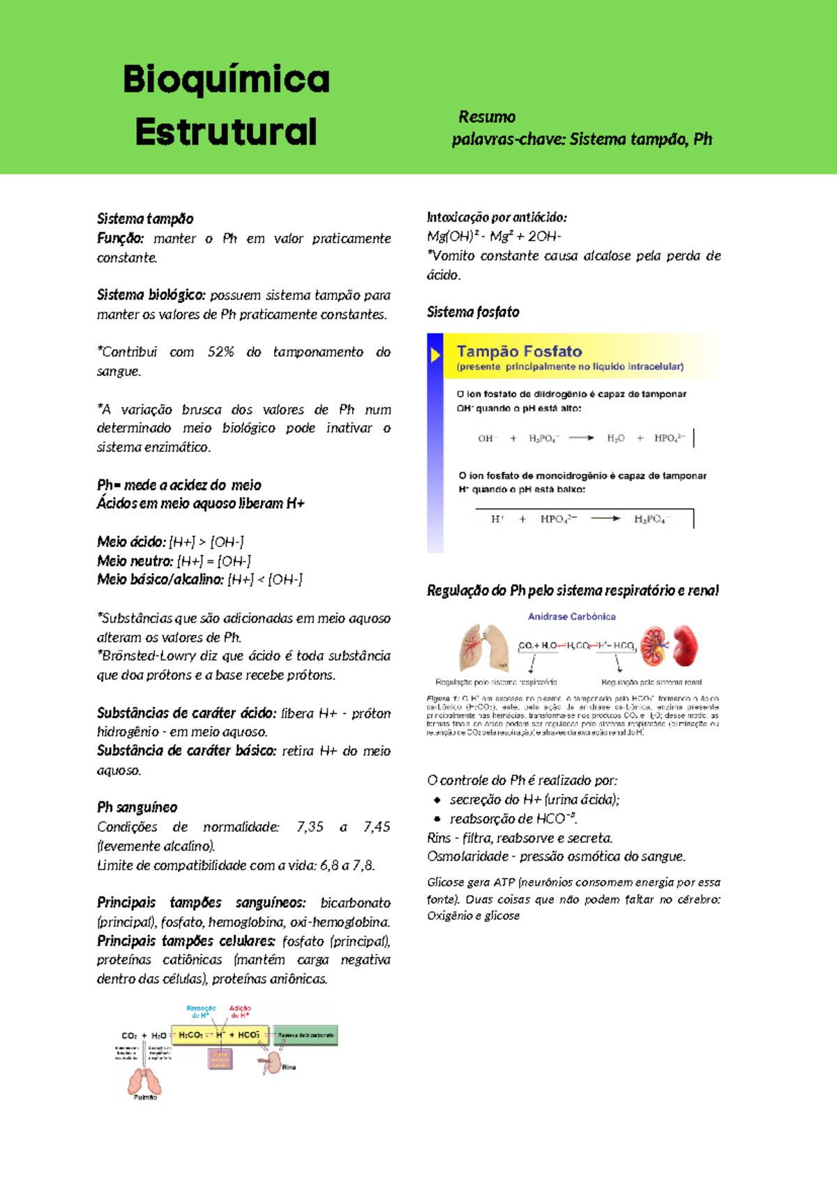 Resumo de Bioquímica Estrutural: Sistemas Tampão e Função das Proteínas ...